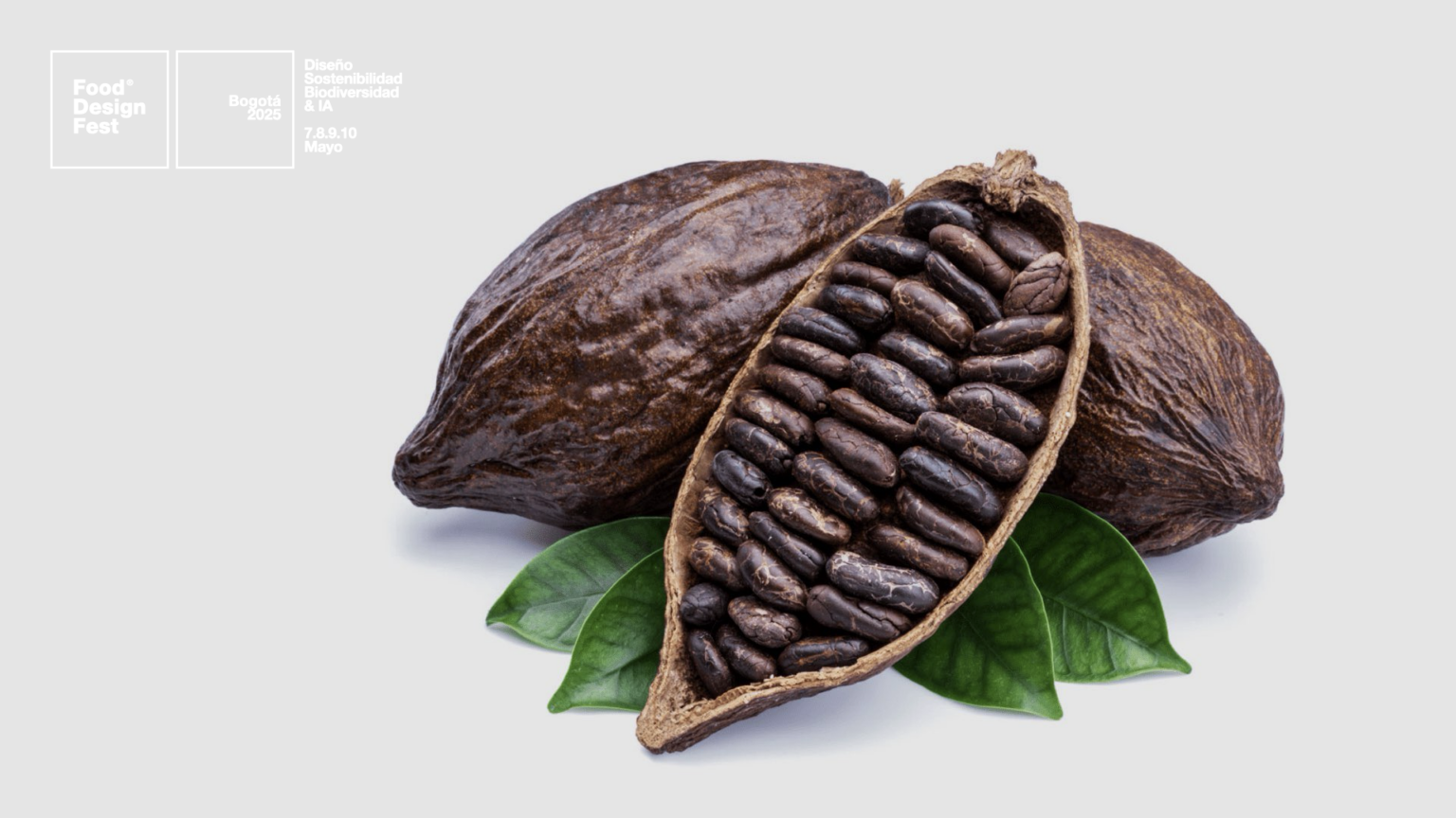 Moxe Food - Food Design Festival